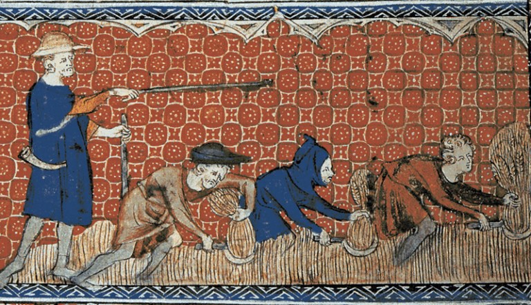 Fire, Scythes and Superstition: the Medieval Harvest