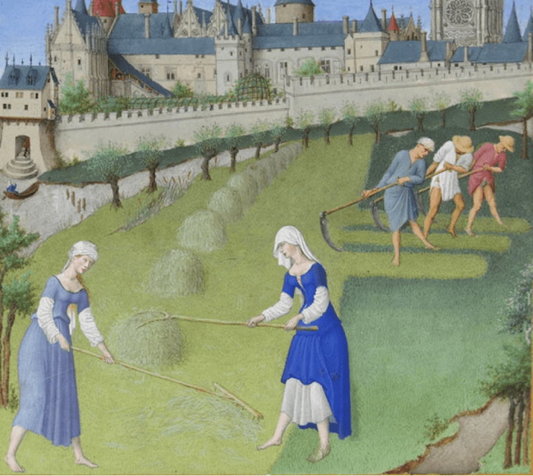 Fire, Scythes and Superstition: the Medieval Harvest