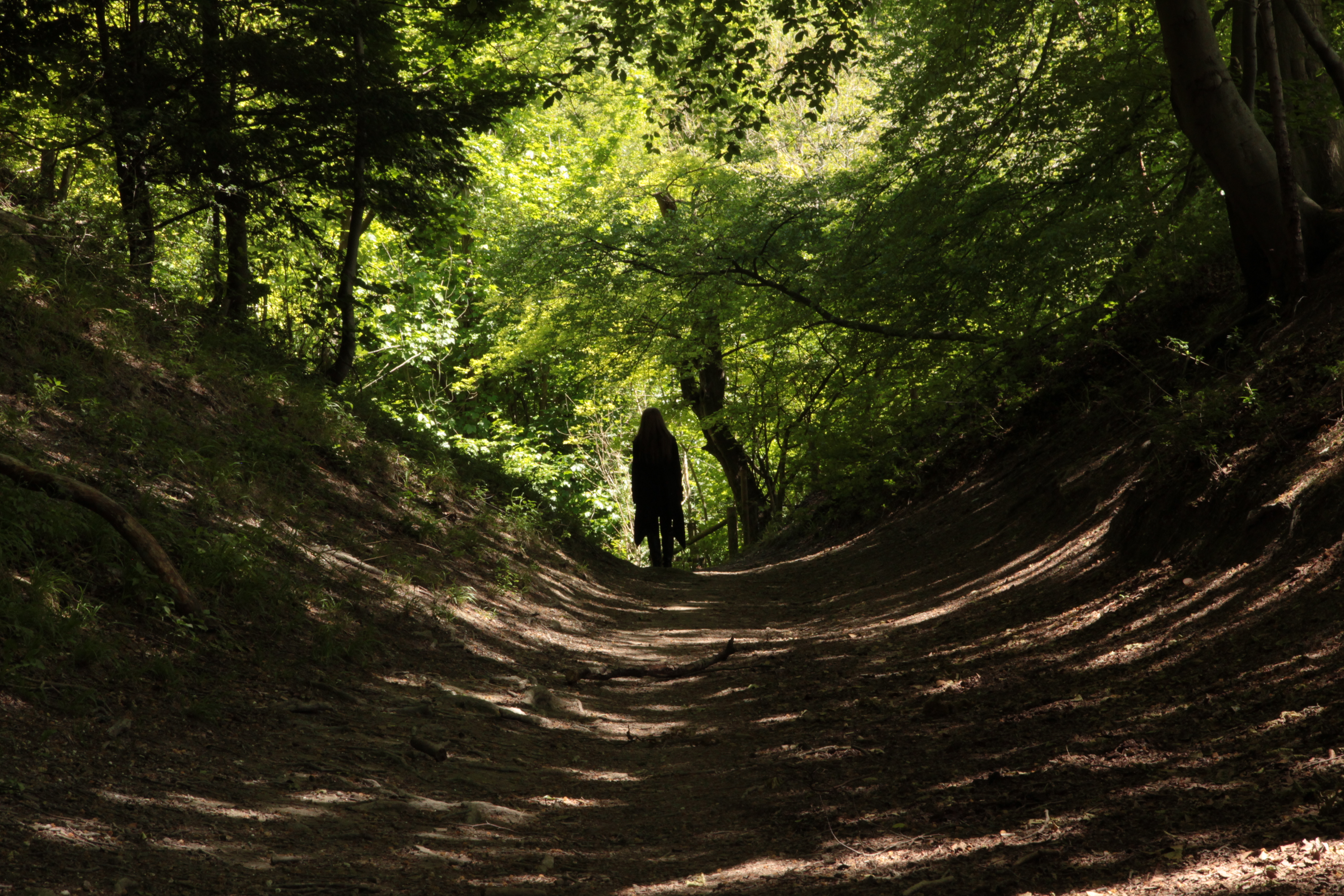 In Praise of Hollow Ways