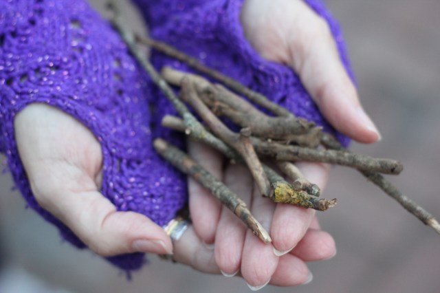 Elegy for the Sycamore