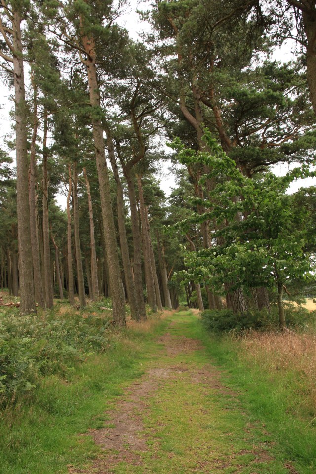 Medieval Moments: St Cuthbert’s Cave